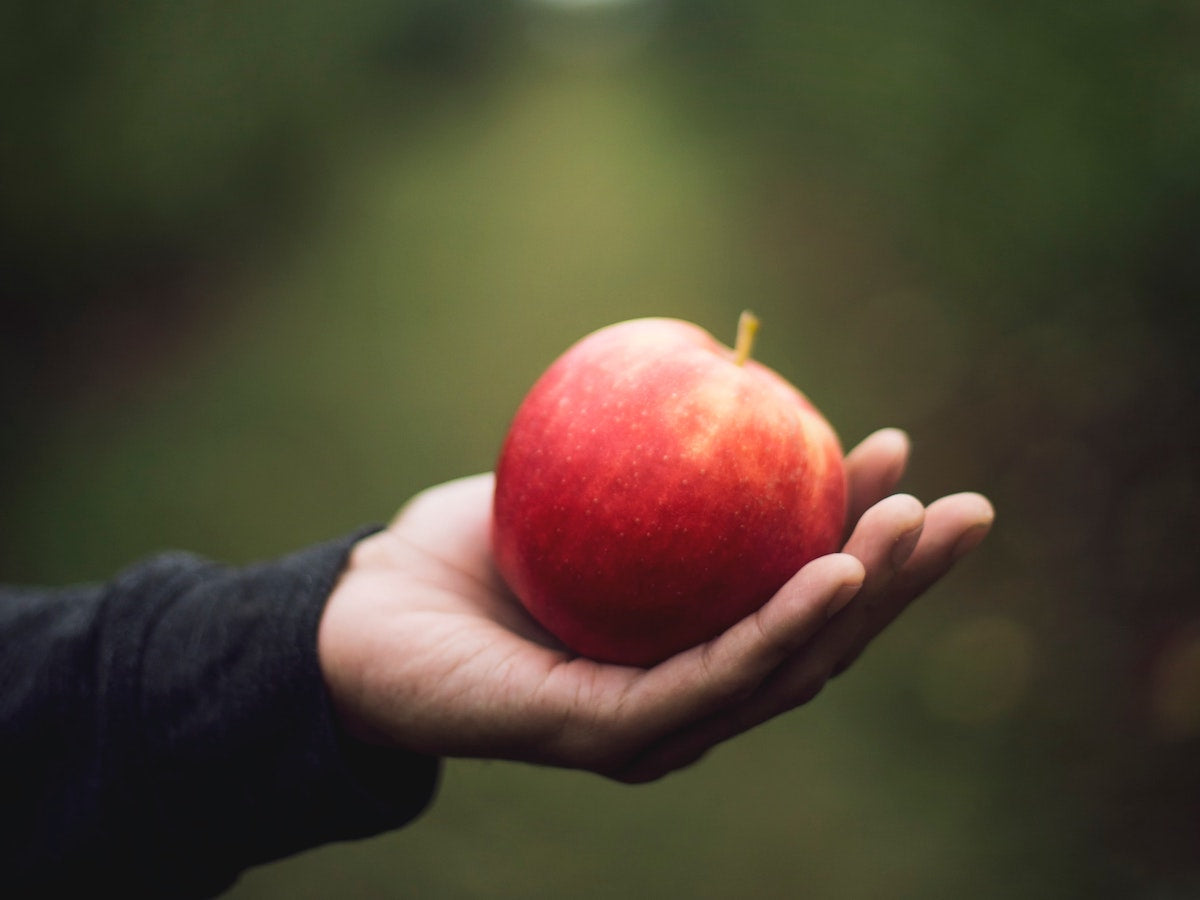 The Heritage of ELEMENTET: A Thousand Year History – GGDS